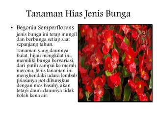 tanaman bunga hias | PPT