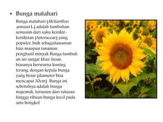 tanaman bunga hias | PPT