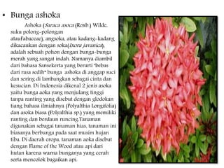 tanaman bunga hias | PPT