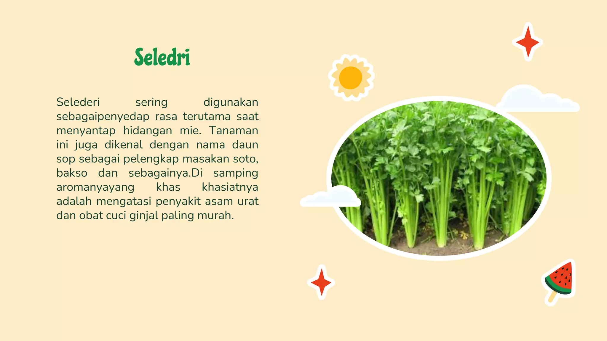 PKWU Tanaman Obat.pptx