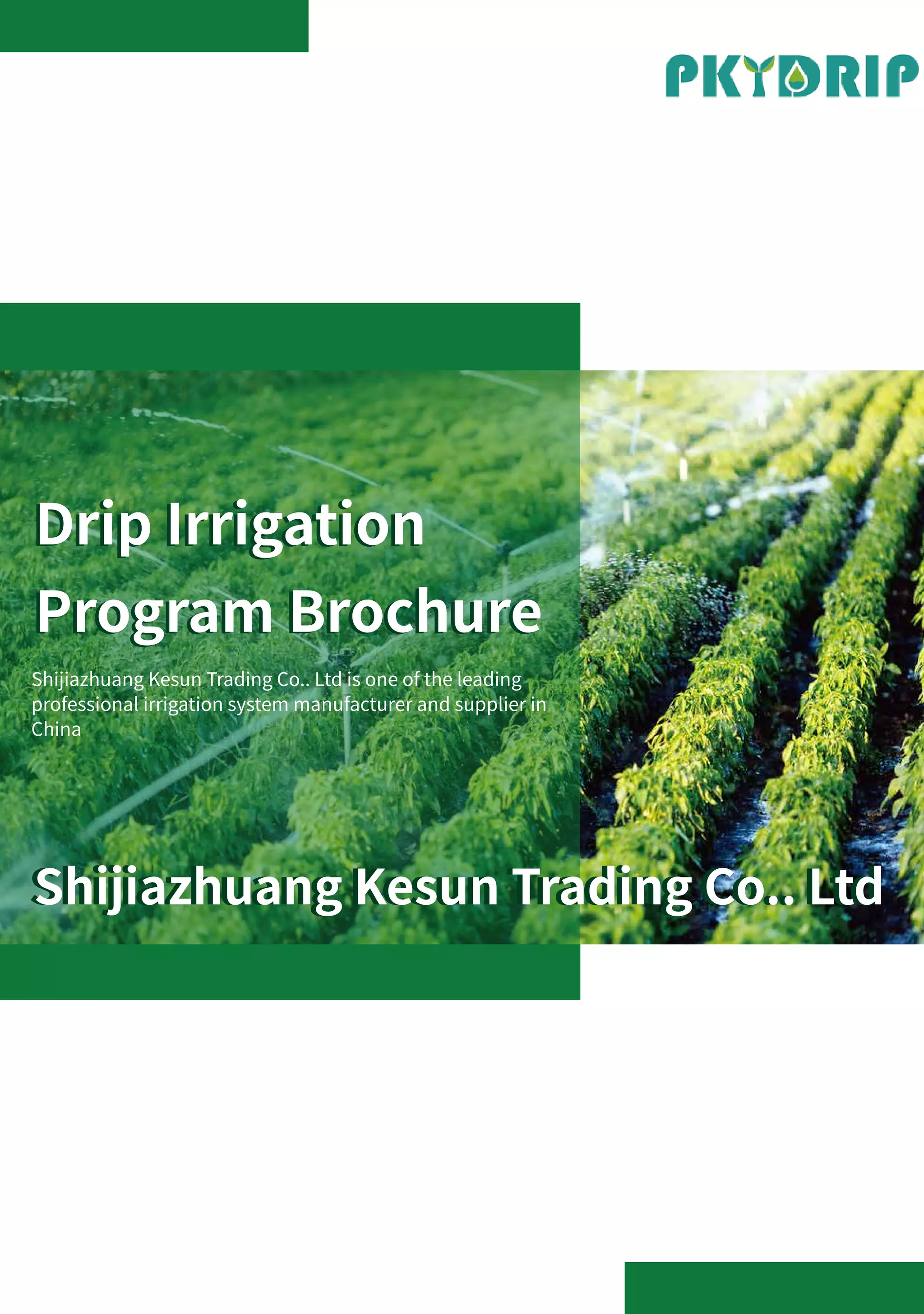 Pkydrip 20 hectare drip irrigation system from keshun trading | PDF