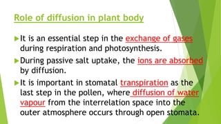 Plant Physiology by Utsav Vekariya, S.D. Agricultural University. | PPTX