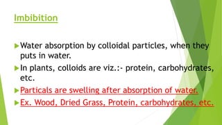 Plant Physiology by Utsav Vekariya, S.D. Agricultural University. | PPTX