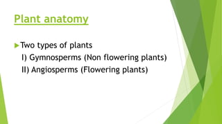 Plant Physiology by Utsav Vekariya, S.D. Agricultural University. | PPTX