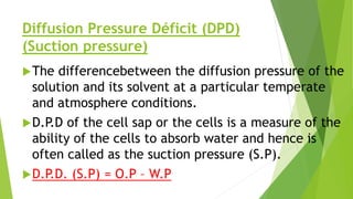 Plant Physiology by Utsav Vekariya, S.D. Agricultural University. | PPTX