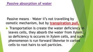 Plant Physiology by Utsav Vekariya, S.D. Agricultural University. | PPTX