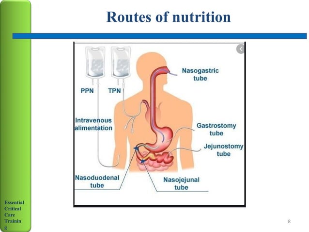 P_L5_Routine Care of ICU Patient-converted.pptx