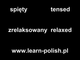 Polish Adjectives | PPT