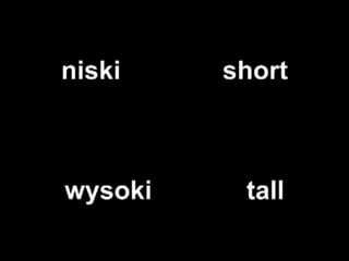 Polish Adjectives | PPT