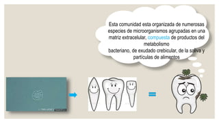 Placa bacteriana | PPTX