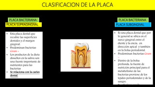 Placa bacteriana | PPTX
