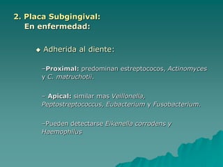 Placa bacteriana y caries dental | PPTX