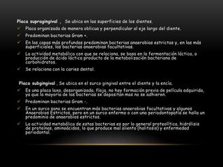 Placa dental (biofilm) | PPTX