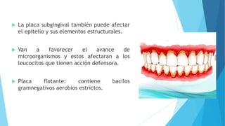 Placa dental microbiologia | PPTX