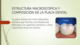 la placa dental | PPTX