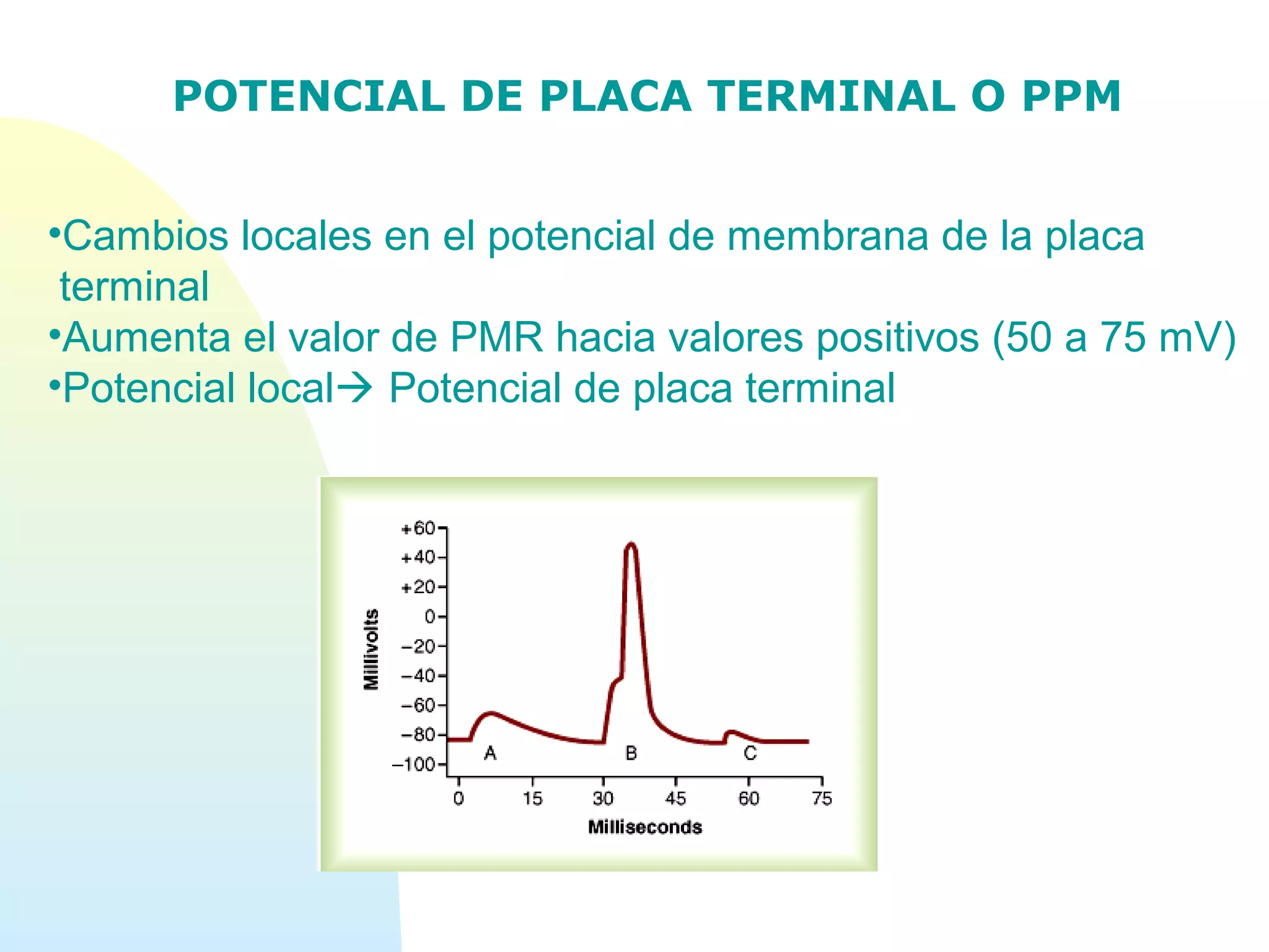 Placa motora | PPT