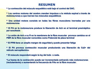 Placa motora | PPT