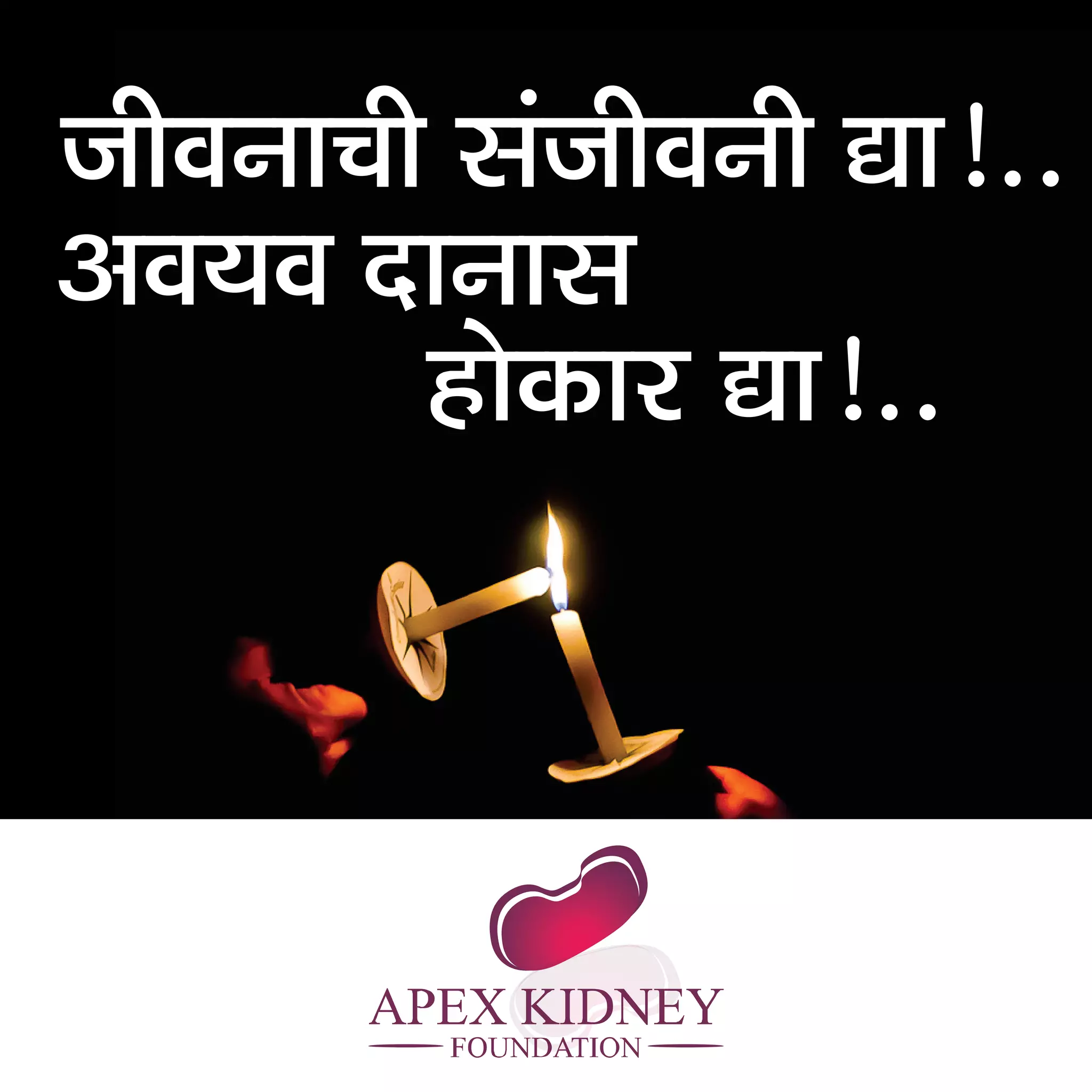 Flyers in Marathi 2 | PDF