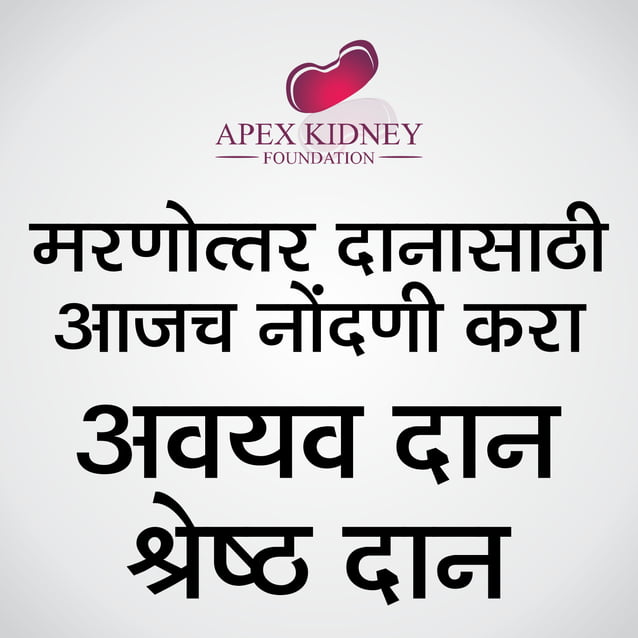 Flyers in Marathi 2 | PDF