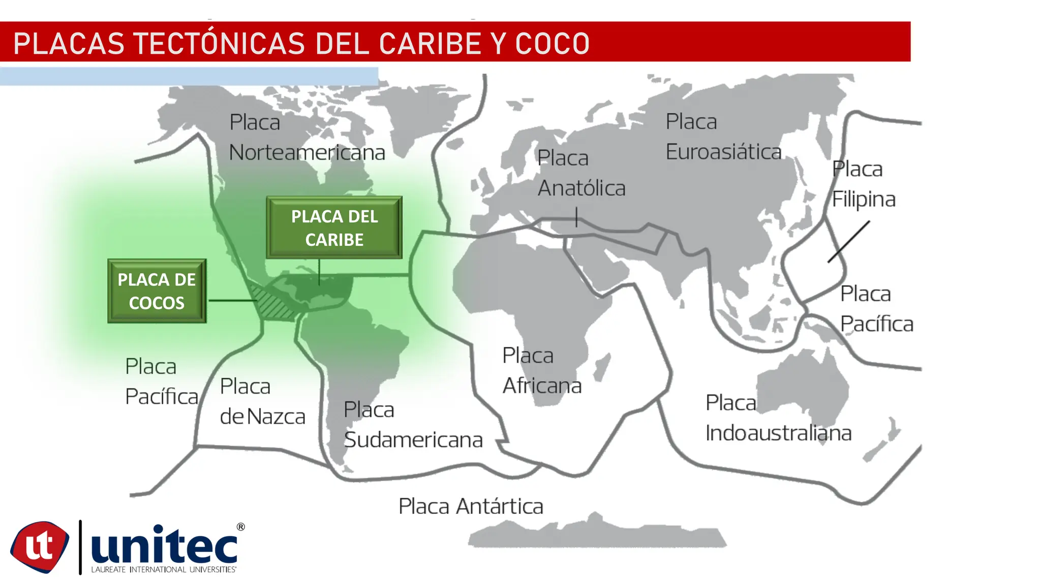 Presentacion sobre las PLACAS contenido g | PDF