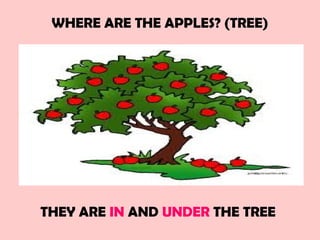 Comprehensive Guide to Place Prepositions with Interactive Exercises | PPT