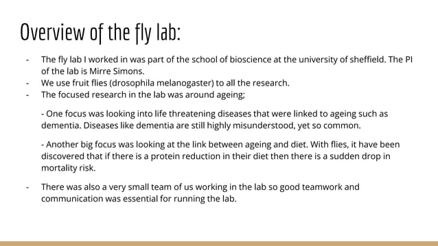 Placement 2021_2022- working in a fly Lab (3) (1).pptx