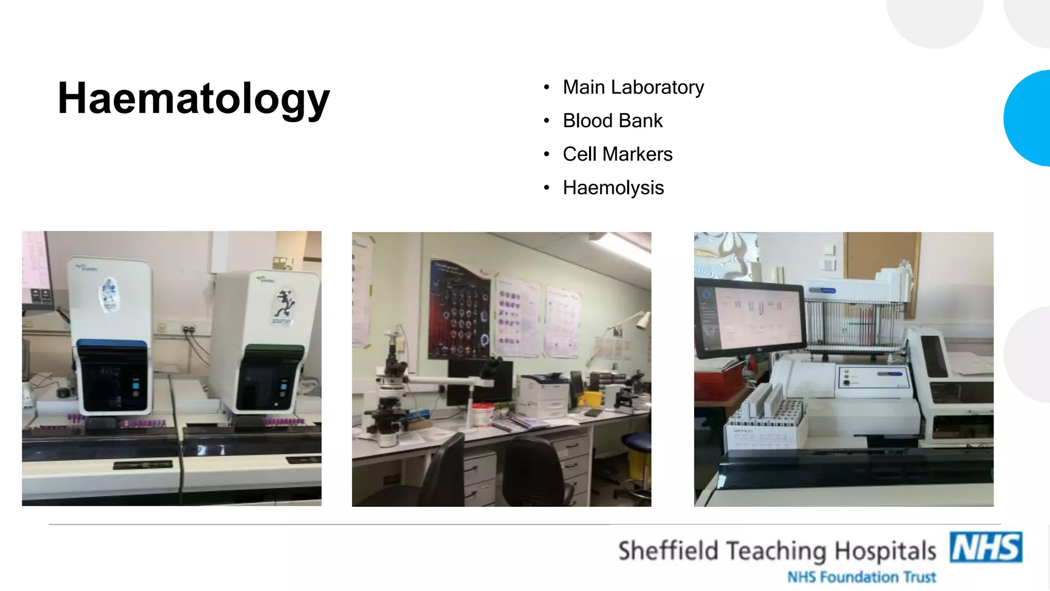 placement presentation final.pptx