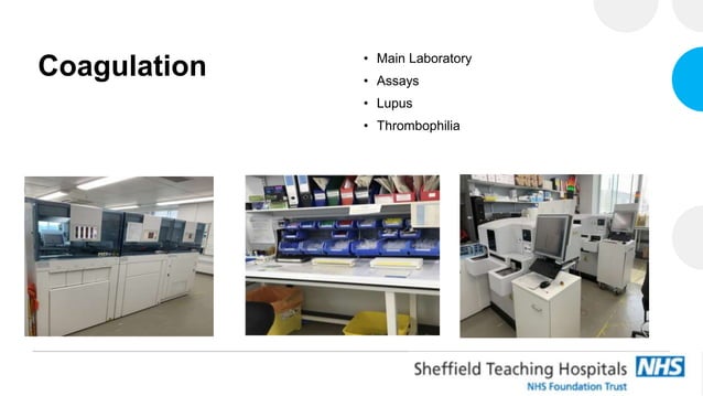 placement presentation final.pptx
