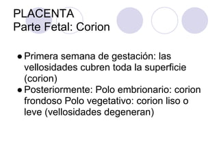 Placenta | PDF