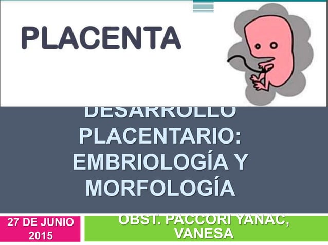 DESARROLLO PLACENTARIO: EMBRIOLOGIA Y MORFOLOGIA | PPTX