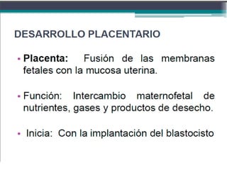 DESARROLLO PLACENTARIO: EMBRIOLOGIA Y MORFOLOGIA | PPTX