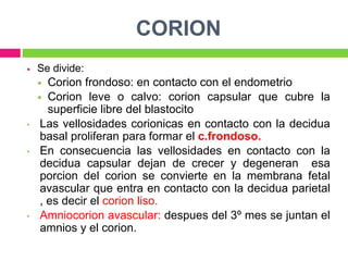 DESARROLLO PLACENTARIO: EMBRIOLOGIA Y MORFOLOGIA | PPTX
