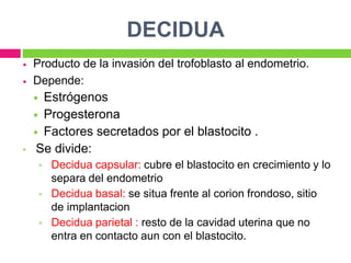 DESARROLLO PLACENTARIO: EMBRIOLOGIA Y MORFOLOGIA | PPTX