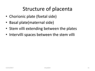 Placenta | PPT