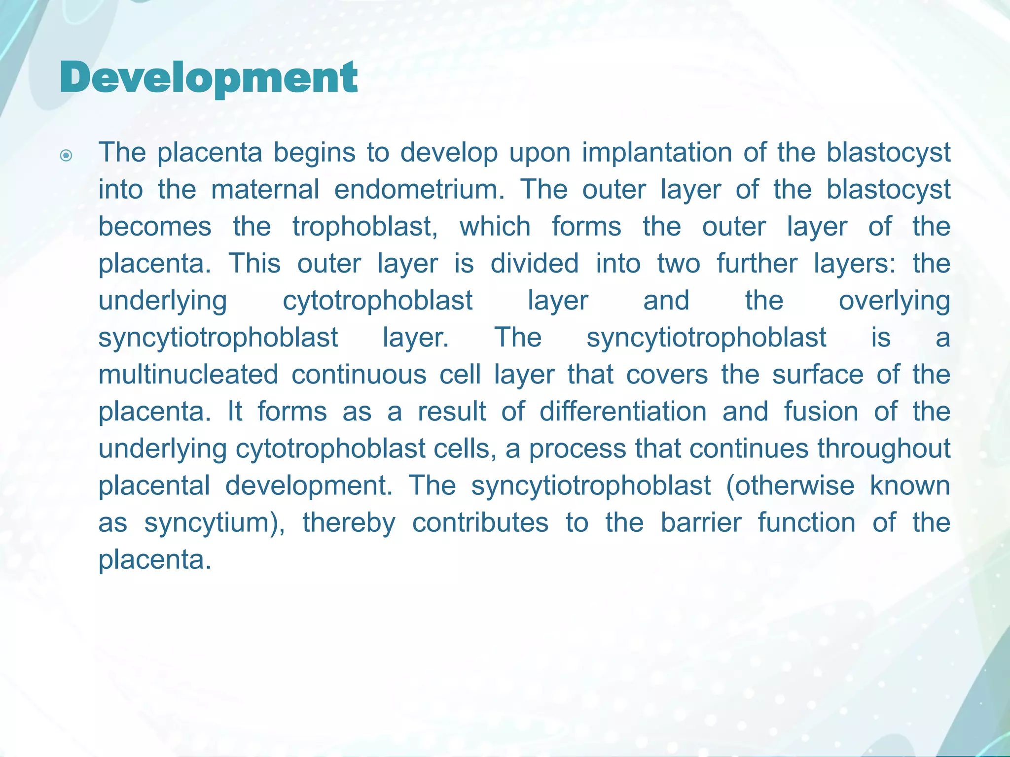 placenta | PPTX