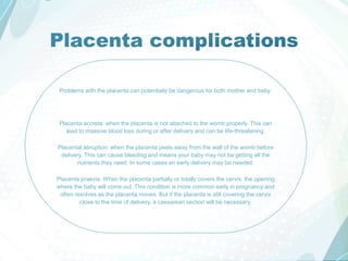 placenta | PPT