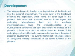 placenta | PPTX