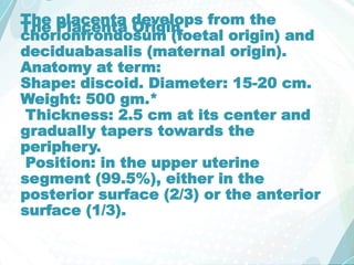placenta | PPTX