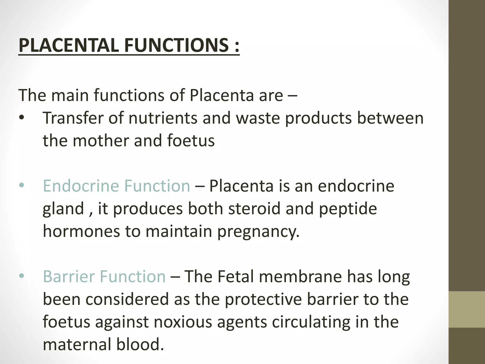 Placenta | PPTX
