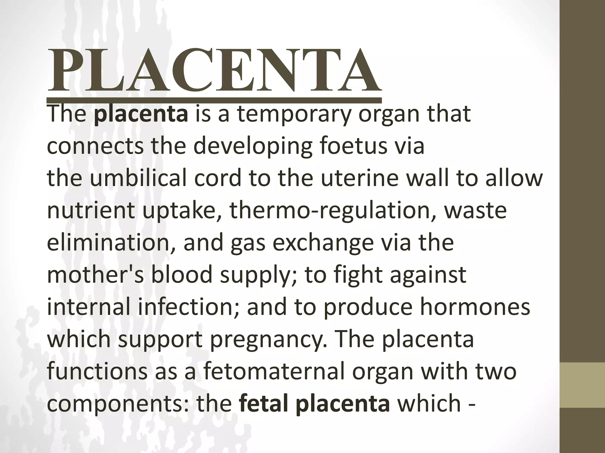 Placenta | PPTX