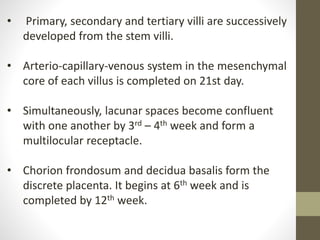 Placenta | PPTX