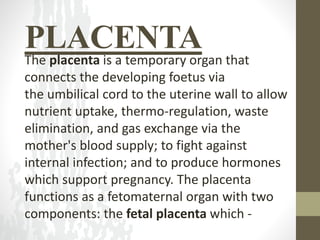 Placenta | PPTX