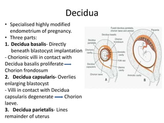 Placenta development and its abnormalities | PPTX