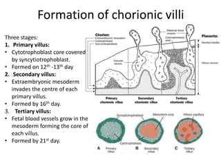 Placenta development and its abnormalities | PPT