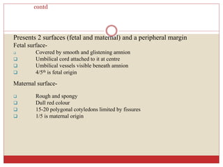 Structure and Function of Placenta | PPTX