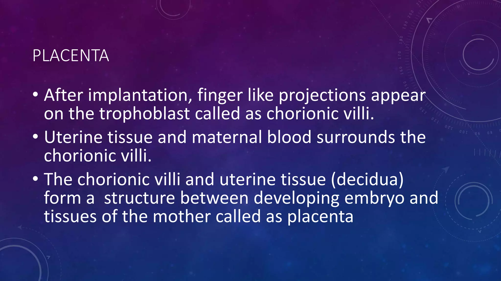 Placenta | PPTX
