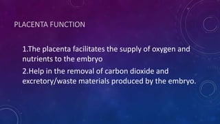 Placenta | PPTX | Pregnancy | Reproductive Health