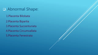Placenta | PPTX