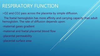 Placenta | PPTX