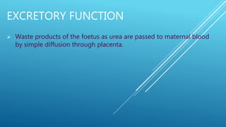 Placenta | PPTX